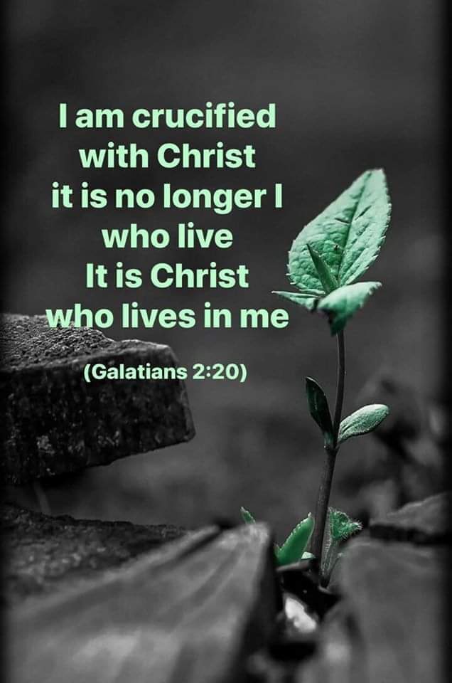 Jesus Loves You Xx