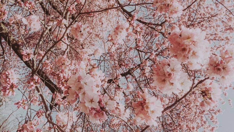 𝙂𝙞𝙧𝙡𝙮 𝙂𝙞𝙧𝙡𝙮 Added A New Photo