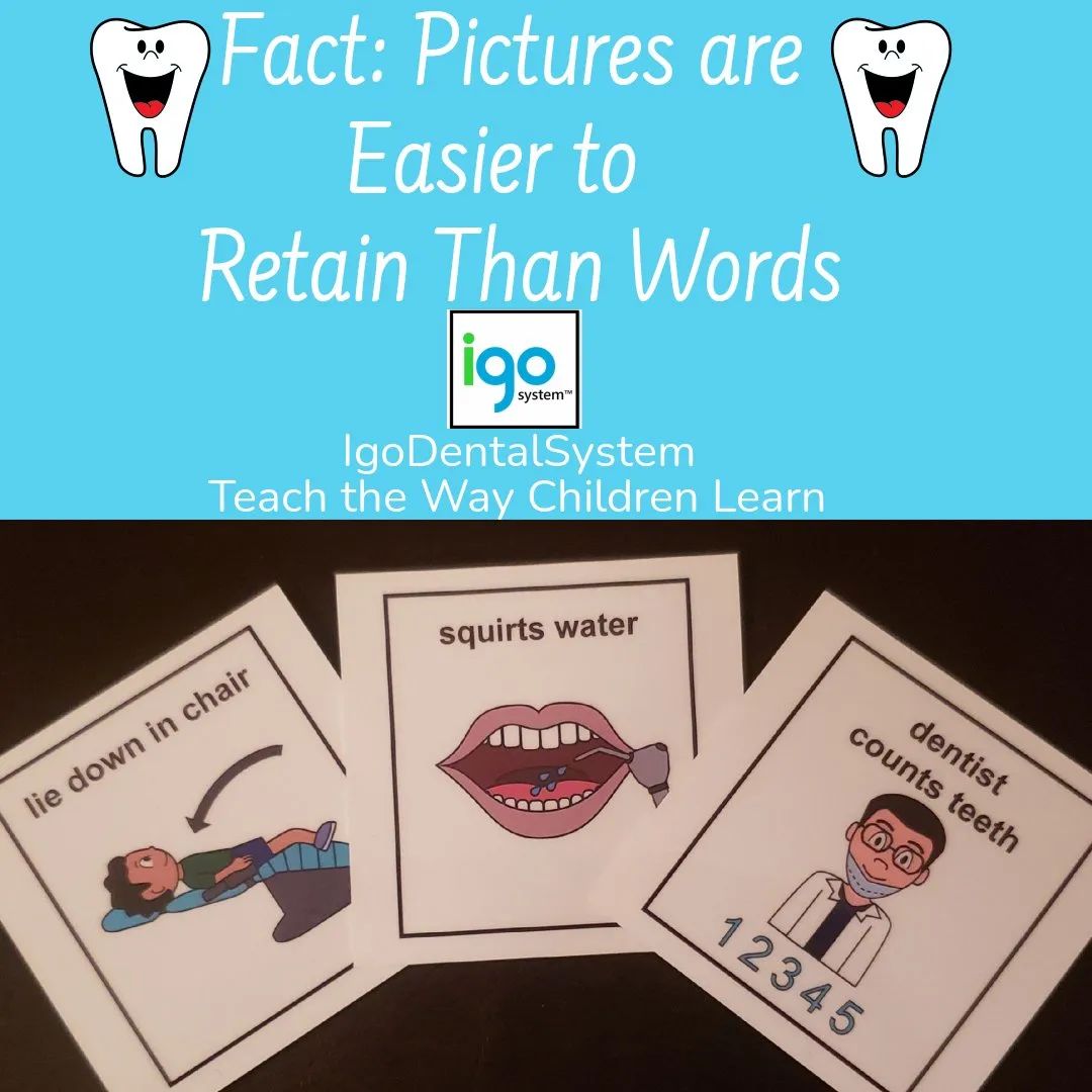 The Igo Dental System