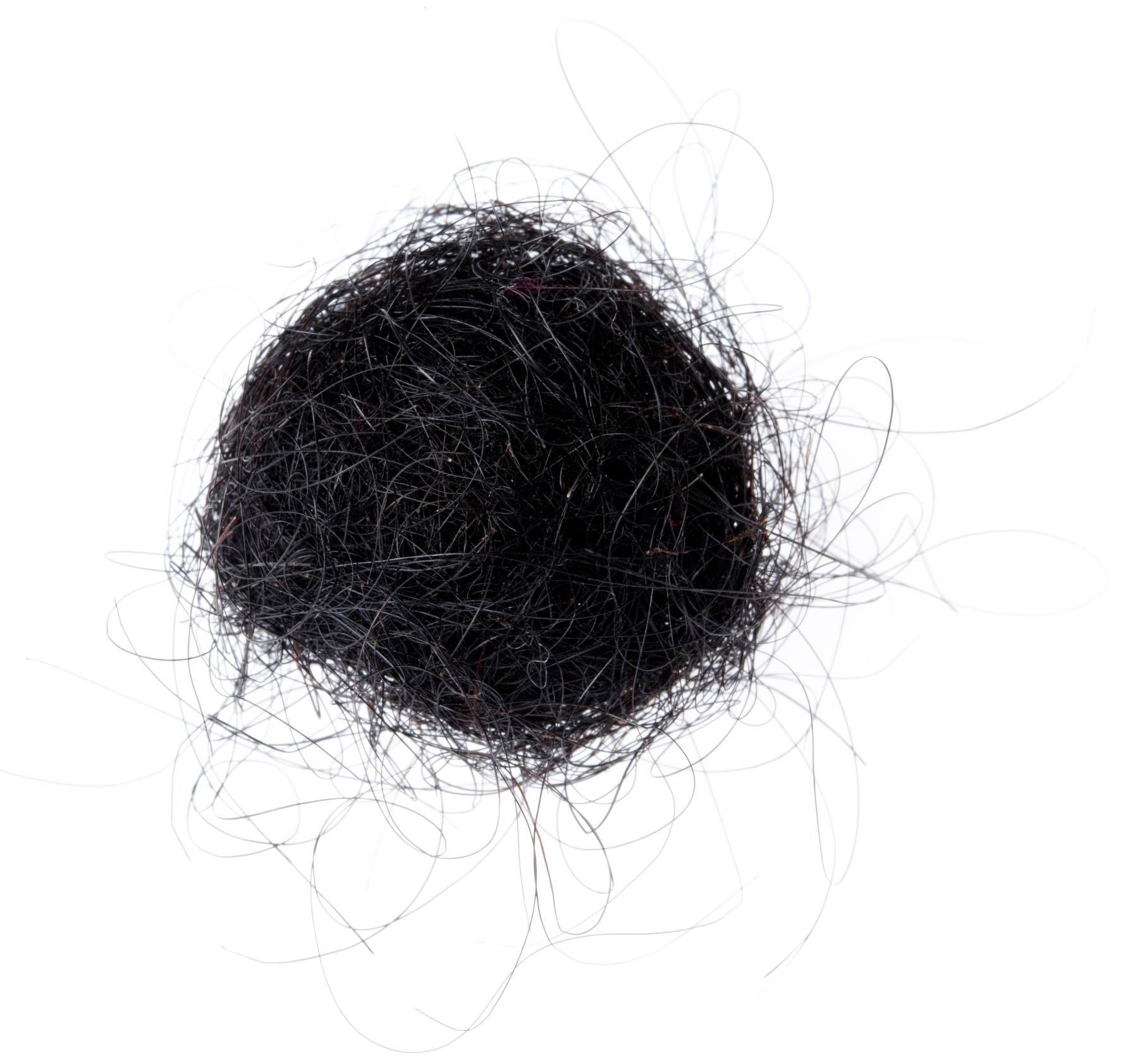 A Hairy Situation Added A New Photo A Hairy Situation