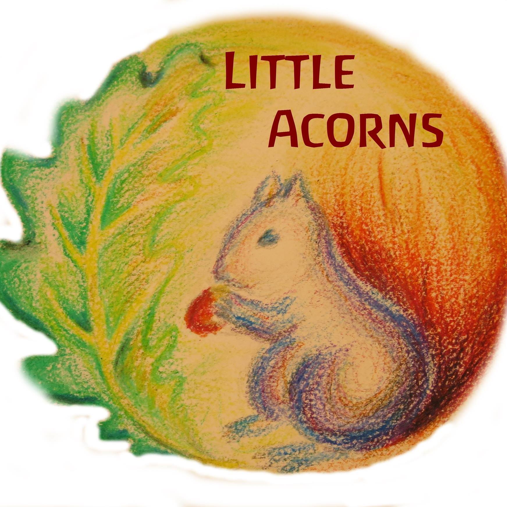 Acorn Adventures Forest School & Outdoor Centre | Ayr