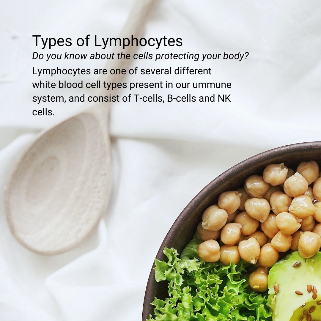 Do You Know About The Transfer Factor And Immune System