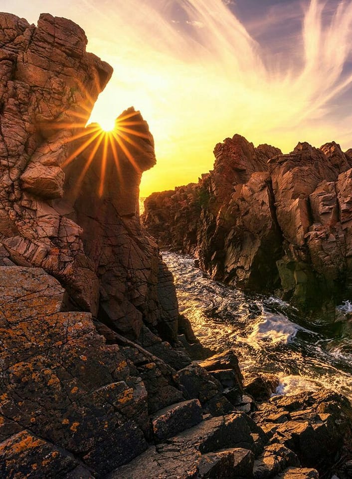Good Night My Dear Friends 🤗🤗 Actions4biodiversity