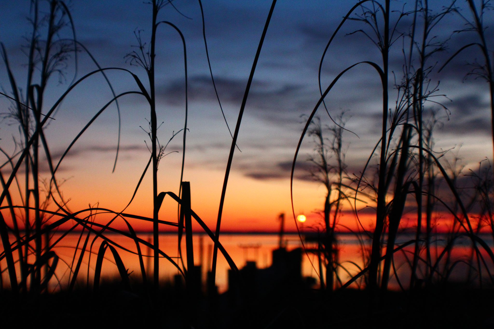 Liz Ashley Photography Added A Liz Ashley Photography