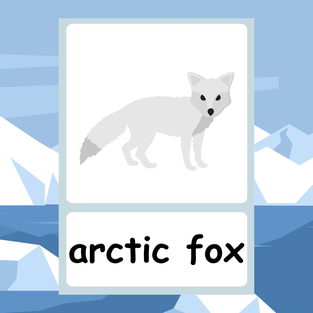 Arctic fox! Arctic... - Flashcards For Kindergarten .com | Facebook