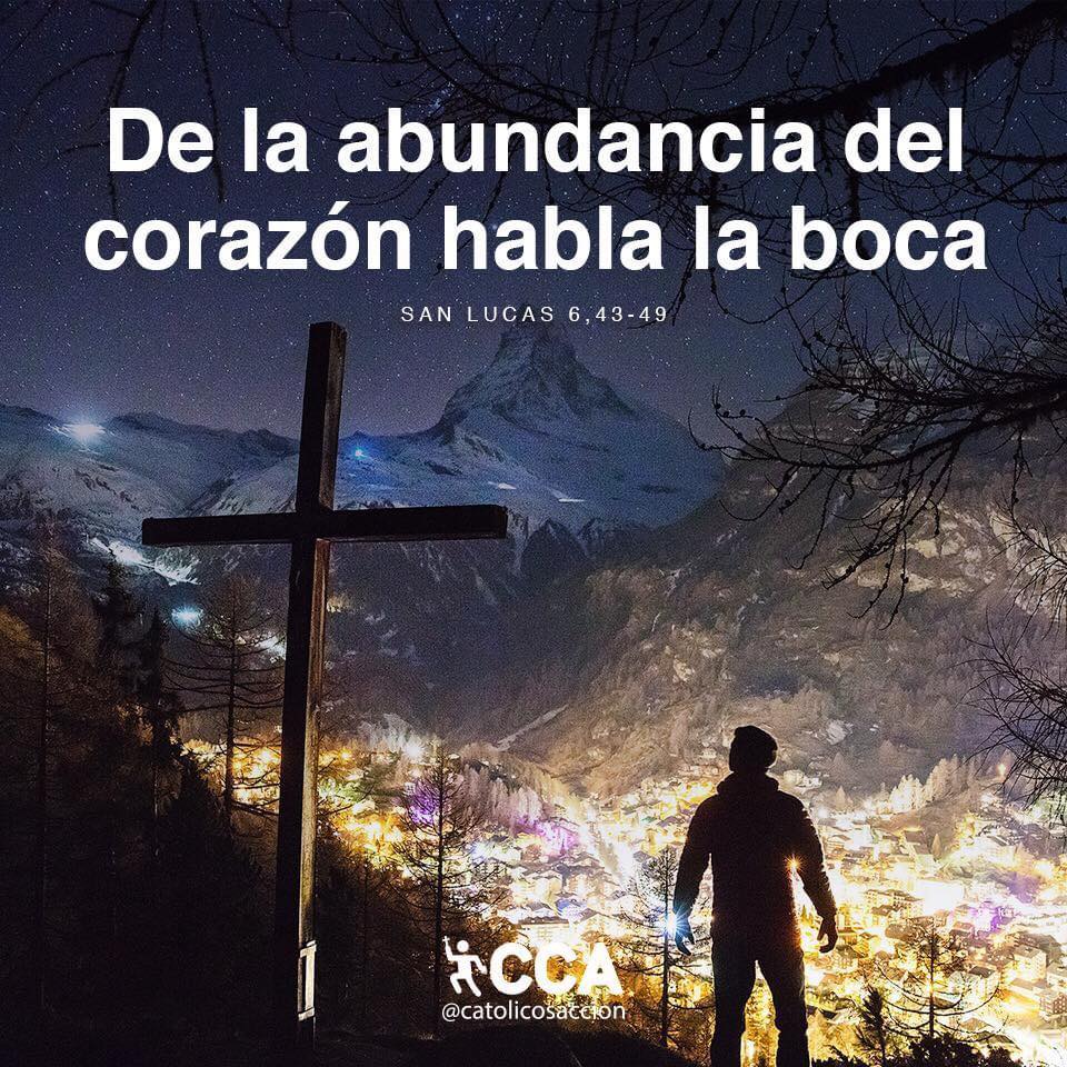 Católicos Con Acción Evangelio Según San Lucas 643 49 Jesús Decía A