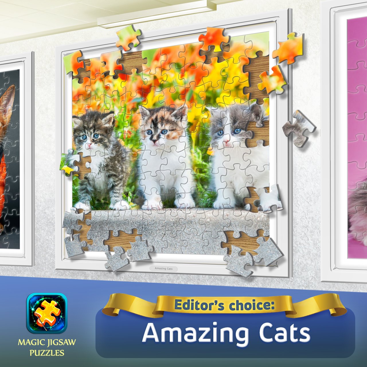 Magic Jigsaw Puzzles - 🐈 Everybody loves cats! Confirmed by another ...