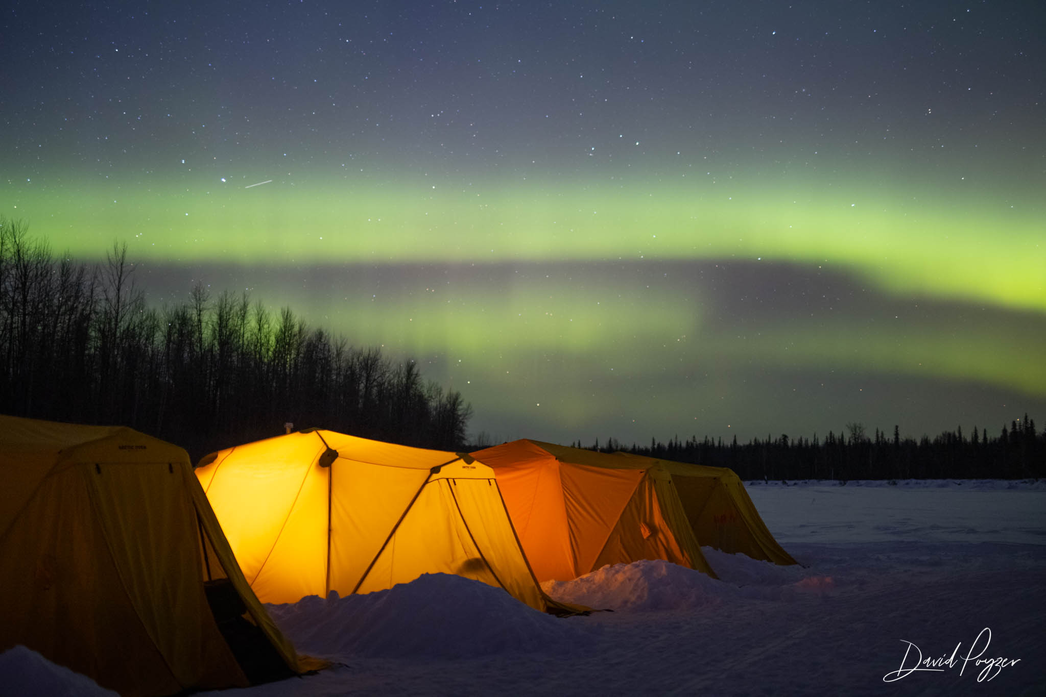 The Iditarod - This year's Golden Clipboard Award was awarded to ...