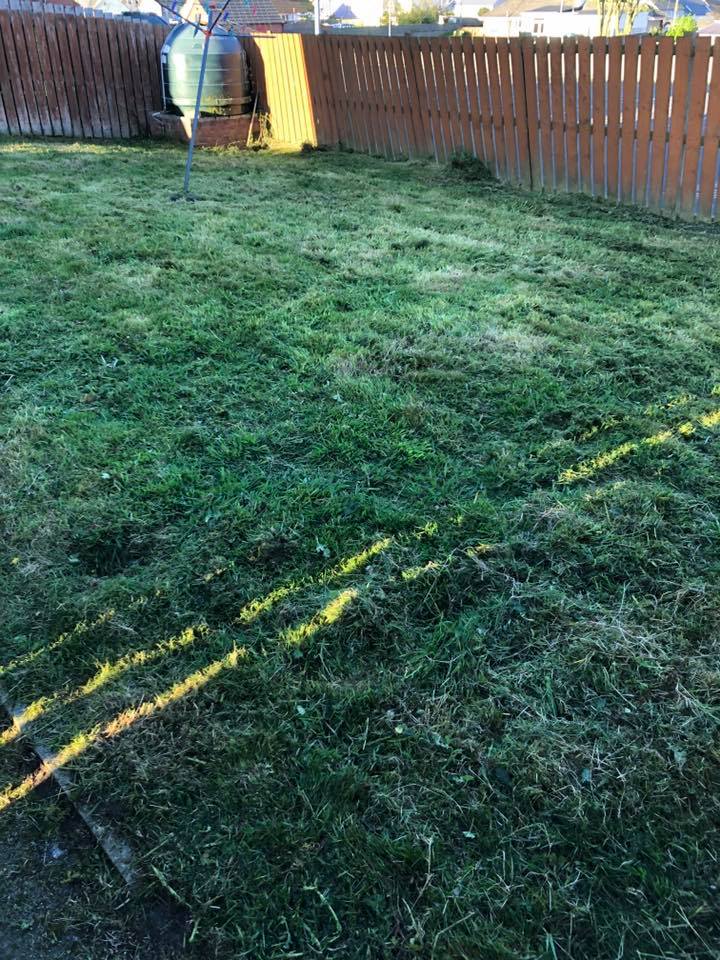 Jsc Gardening Services Home