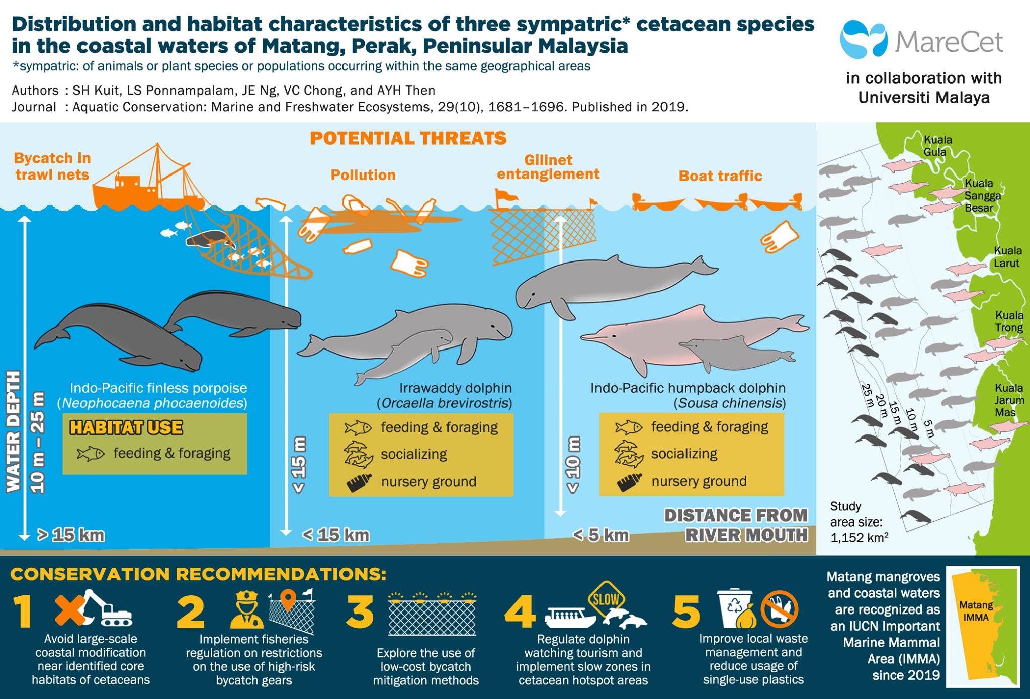 WCS Malaysia - A cool infographic of marine mammals and...