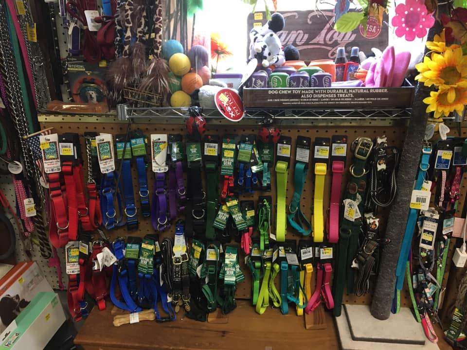 Hairy Hounds Of Millington Millington Md 0639