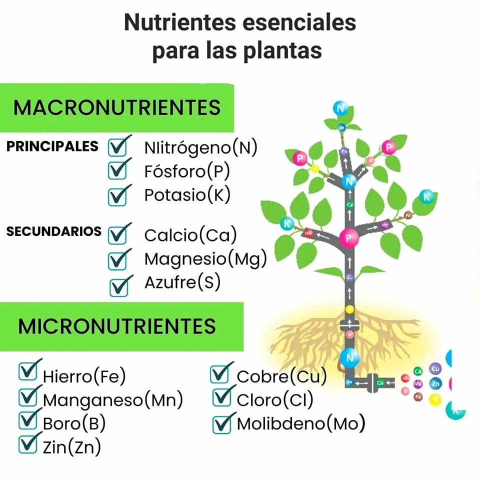 Nutrientes Esenciales Para El Interés Agronómico Facebook 6980