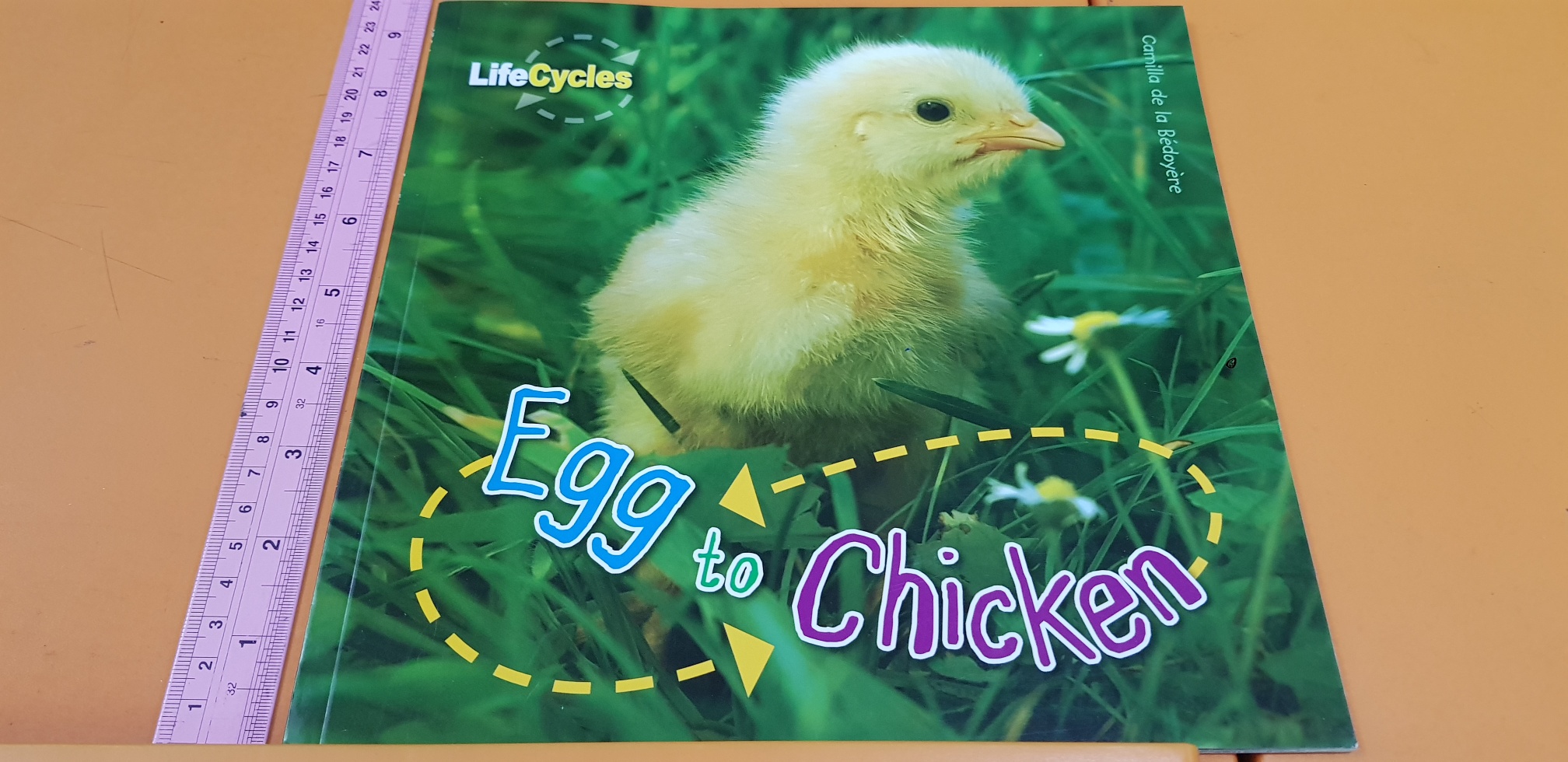 Egg to Chicken... - Owletbookshop หนังสือภาษาอังกฤษสำหรับเด็ก | Facebook