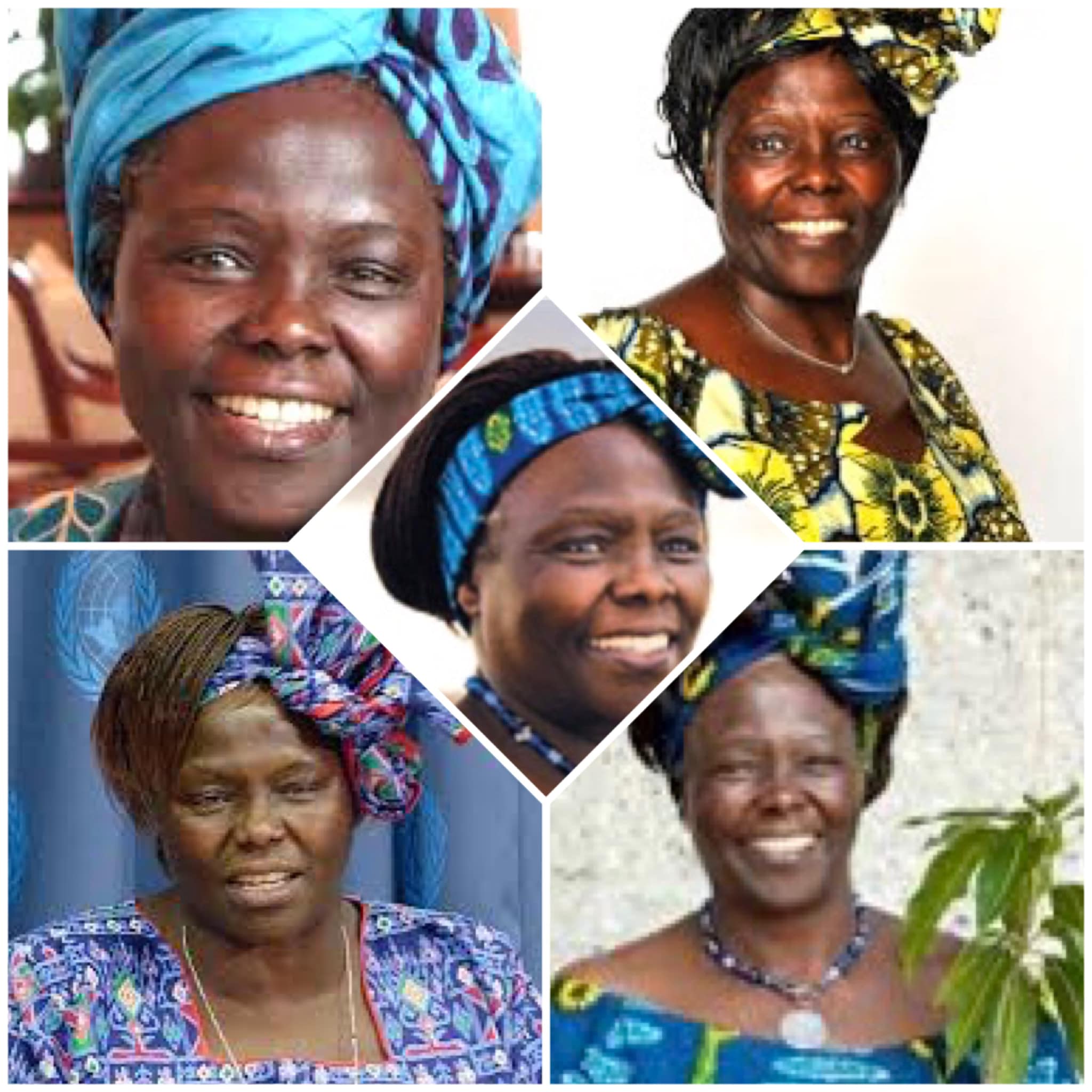 Titilayo - Dr. Wangari Maathai was born in 1940 and she was one of the ...