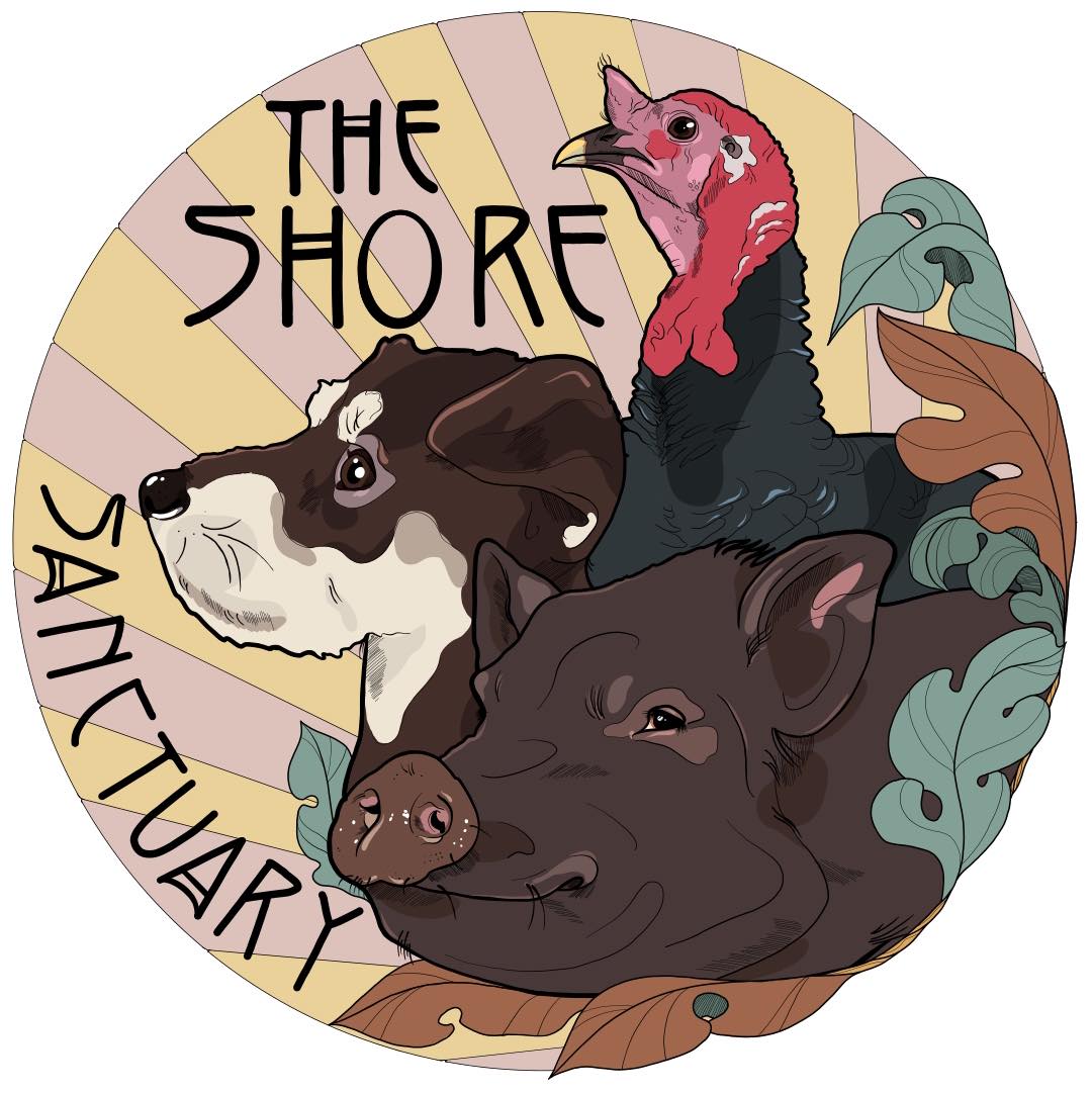 Dinner With The Dar Babes The Shore Sanctuary