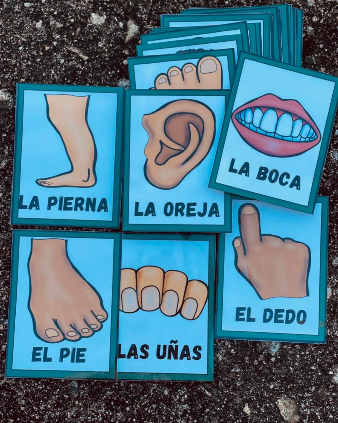EduCruz - 26 Flashcards de las partes del cuerpo $8.00 Al...