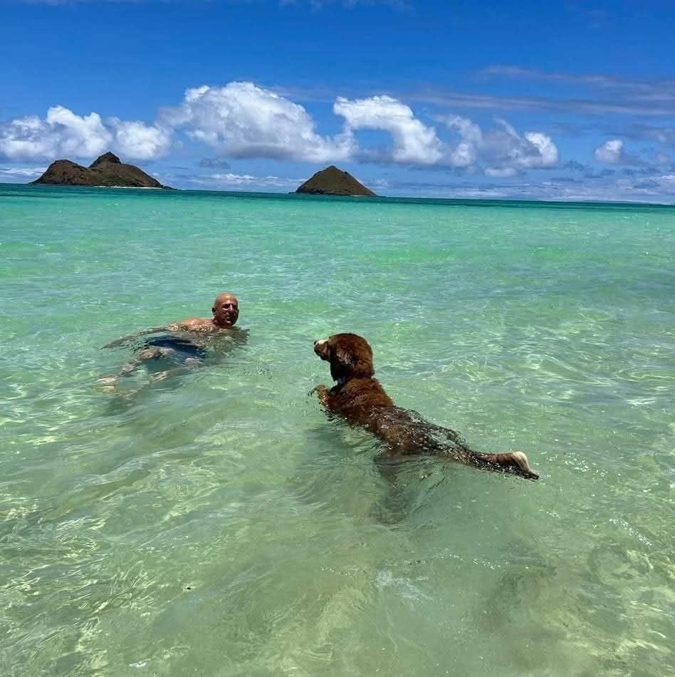 Loaded with personality and love! (GOD BLESS THE HAWAIIAN ISLANDS) WOOF ...