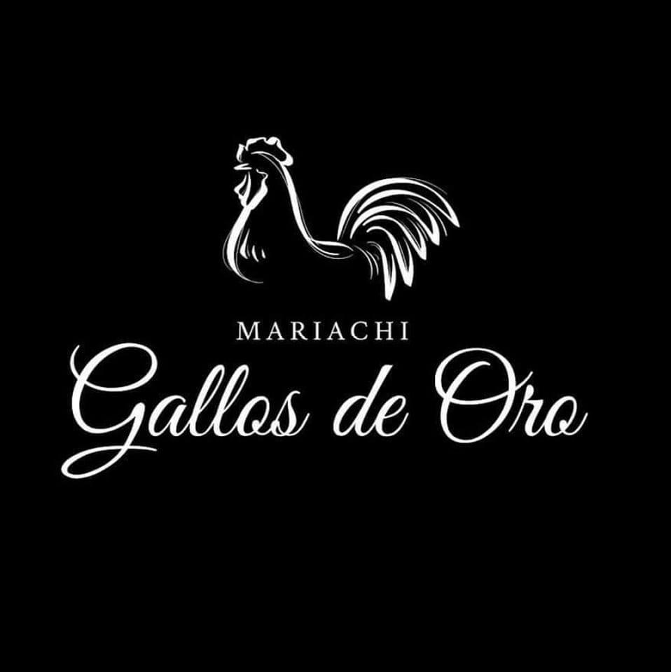 Mariachi Gallos de Oro de Tehuacan Puebla