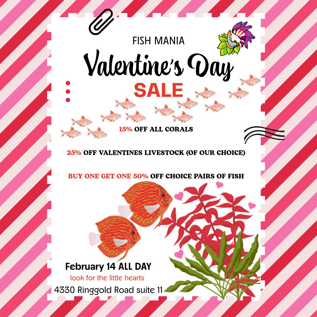 Fish Mania Valentines Day SALE