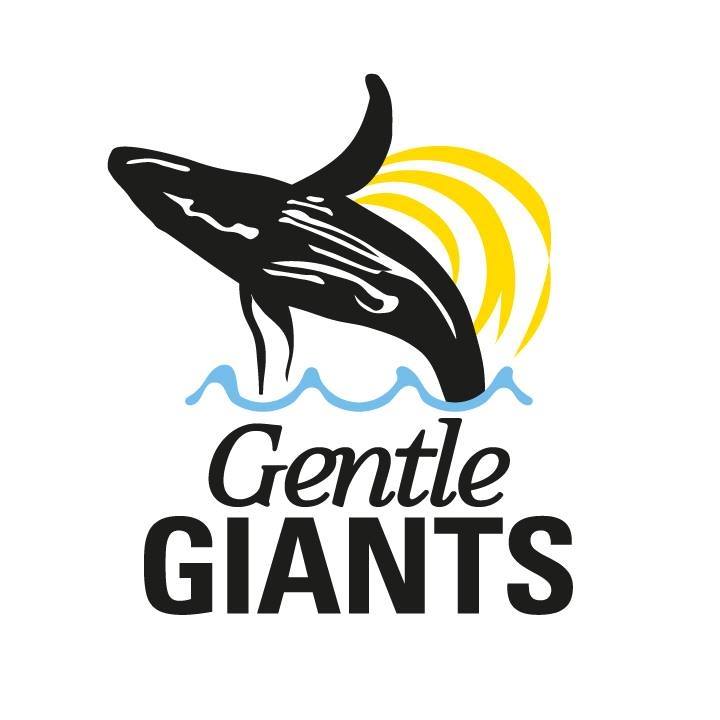 Gentle Giants Whale... - Gentle Giants Whale Watching