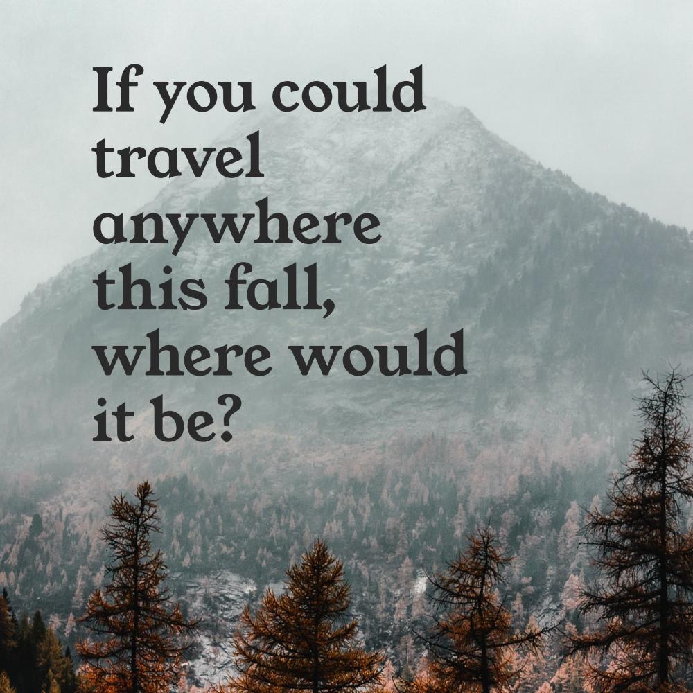If you could travel anywhere this... - Special Ed Resource