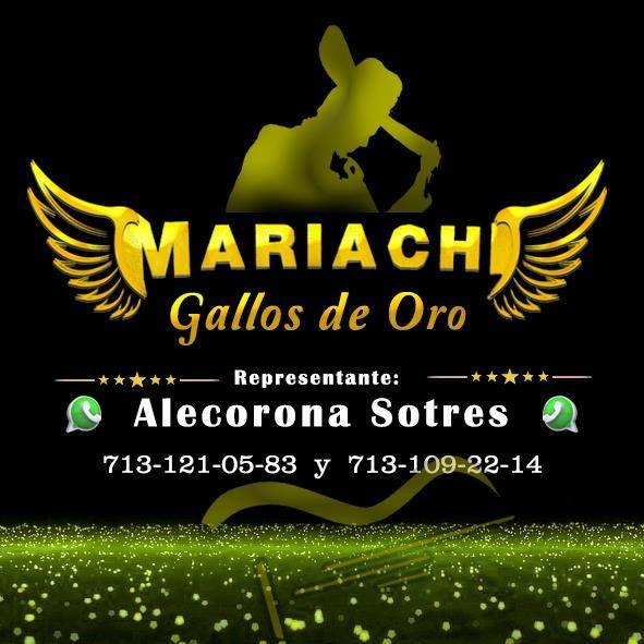 Mariachi Gallos de Oro added a... - Mariachi Gallos de Oro