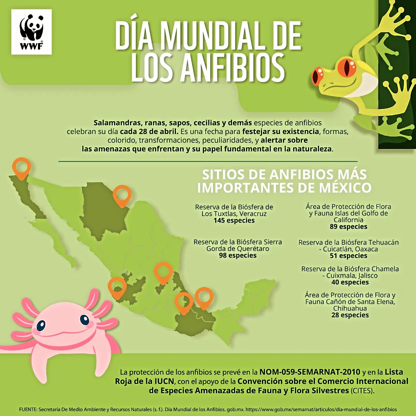 Grupo para el conocimiento y protección de Anfibios y Reptiles Yuumil ...