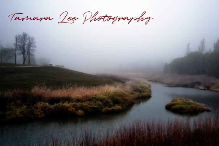Tamara Lee Photography Winnipeg Mb