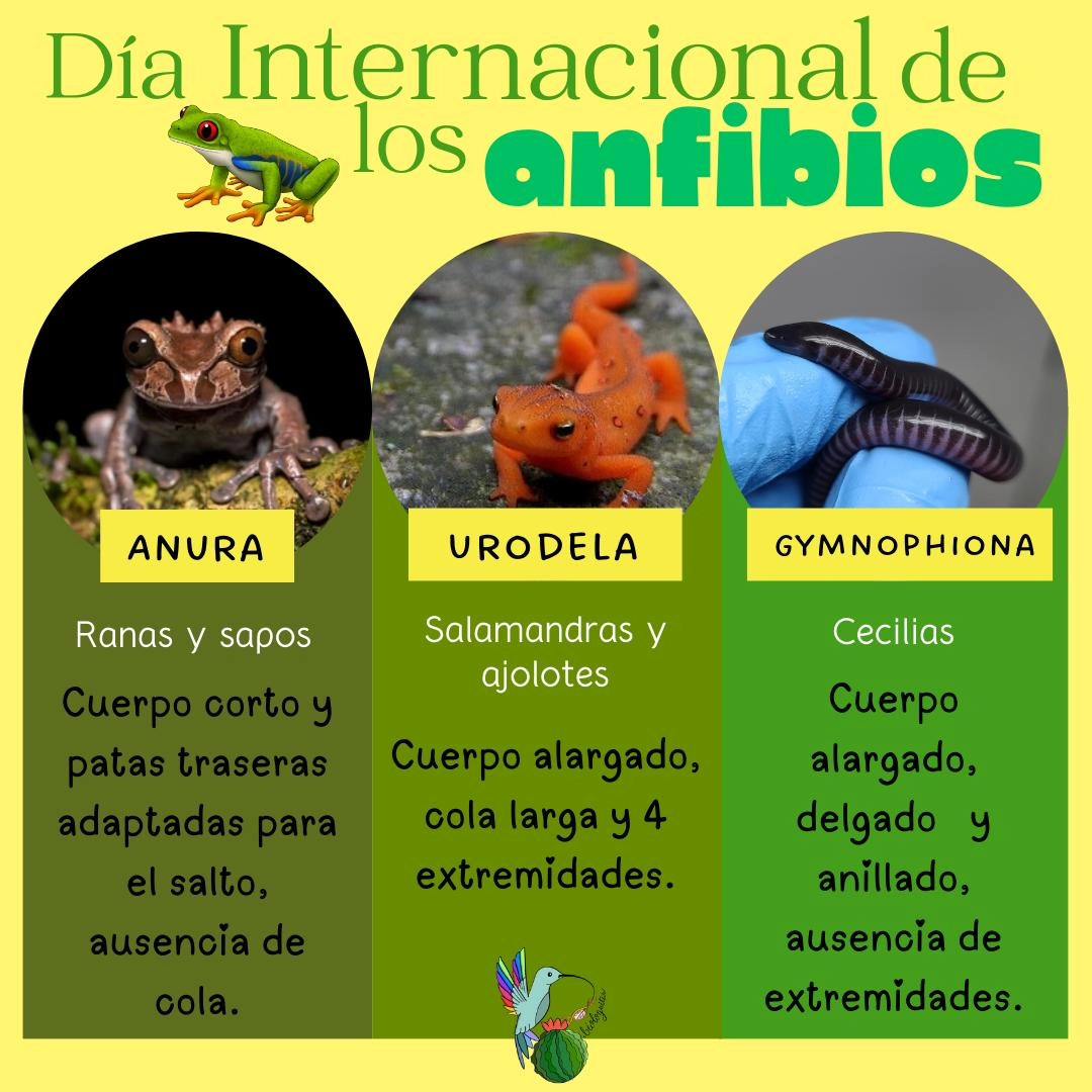 Biologuitas - Hoy se celebra el día mundial de los... | Facebook