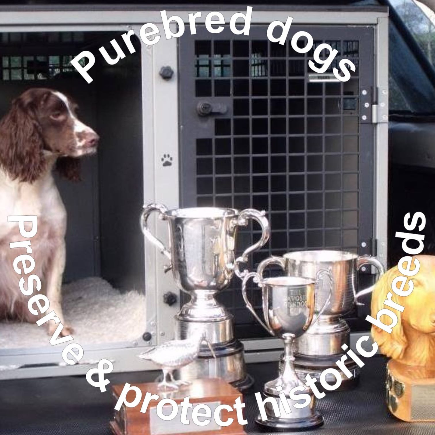 Third time on the rabbits this season... - Nithvalley Gundogs | Facebook
