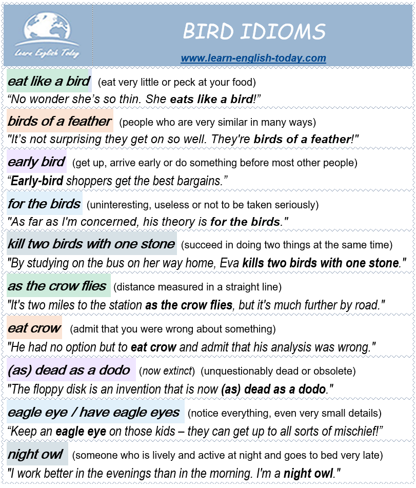 BIRD IDIOMS: idioms relating to... - Learn English Today.com | Facebook