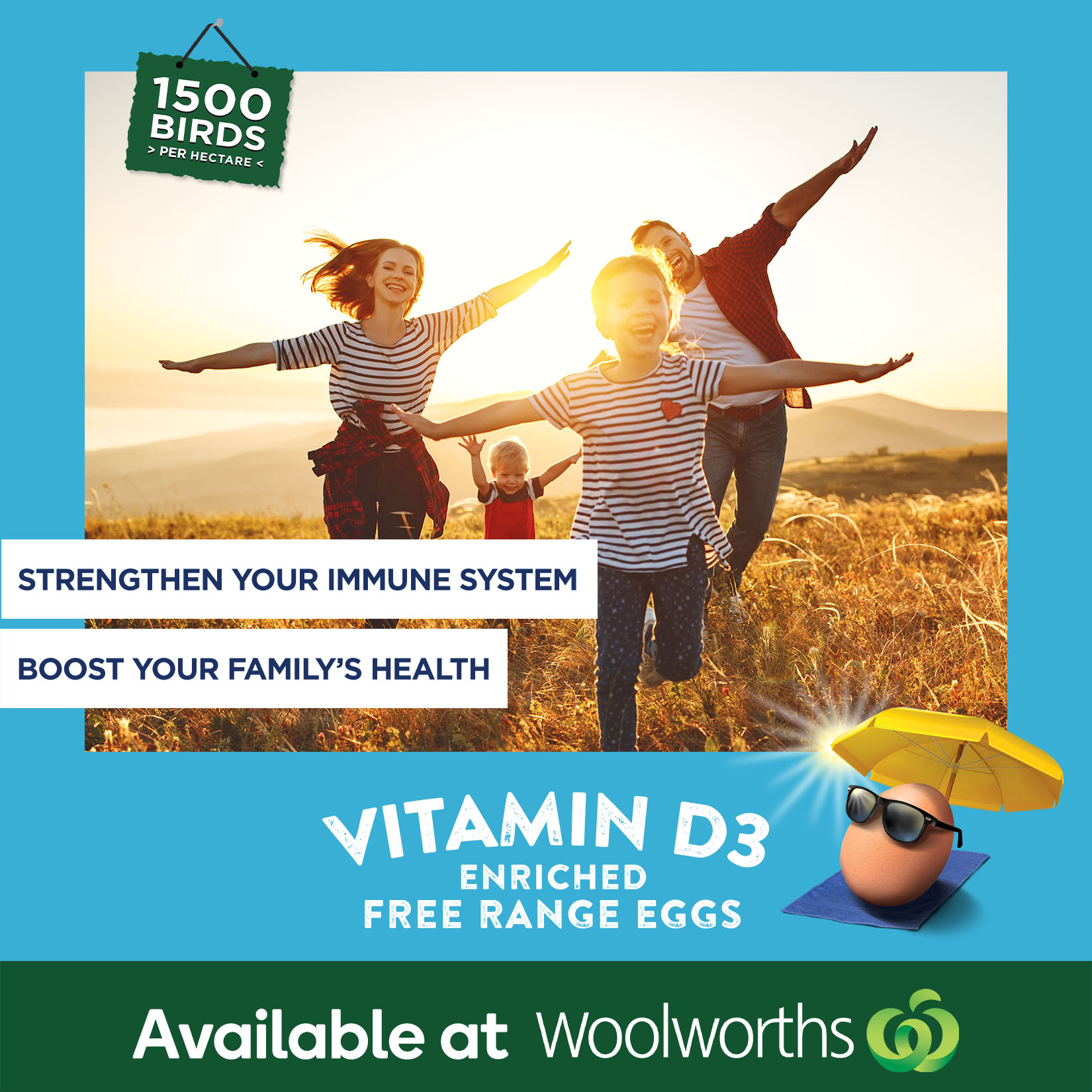 Pace Farm Eggs Our Vitamin D3 Enriched Eggs Are Now 5643