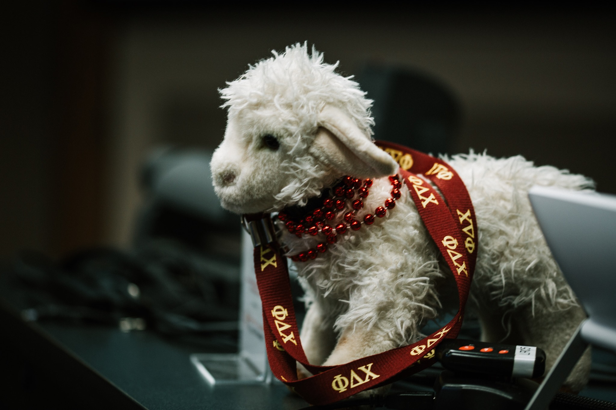 Phi Delta Chi Lambda Chapter 0037