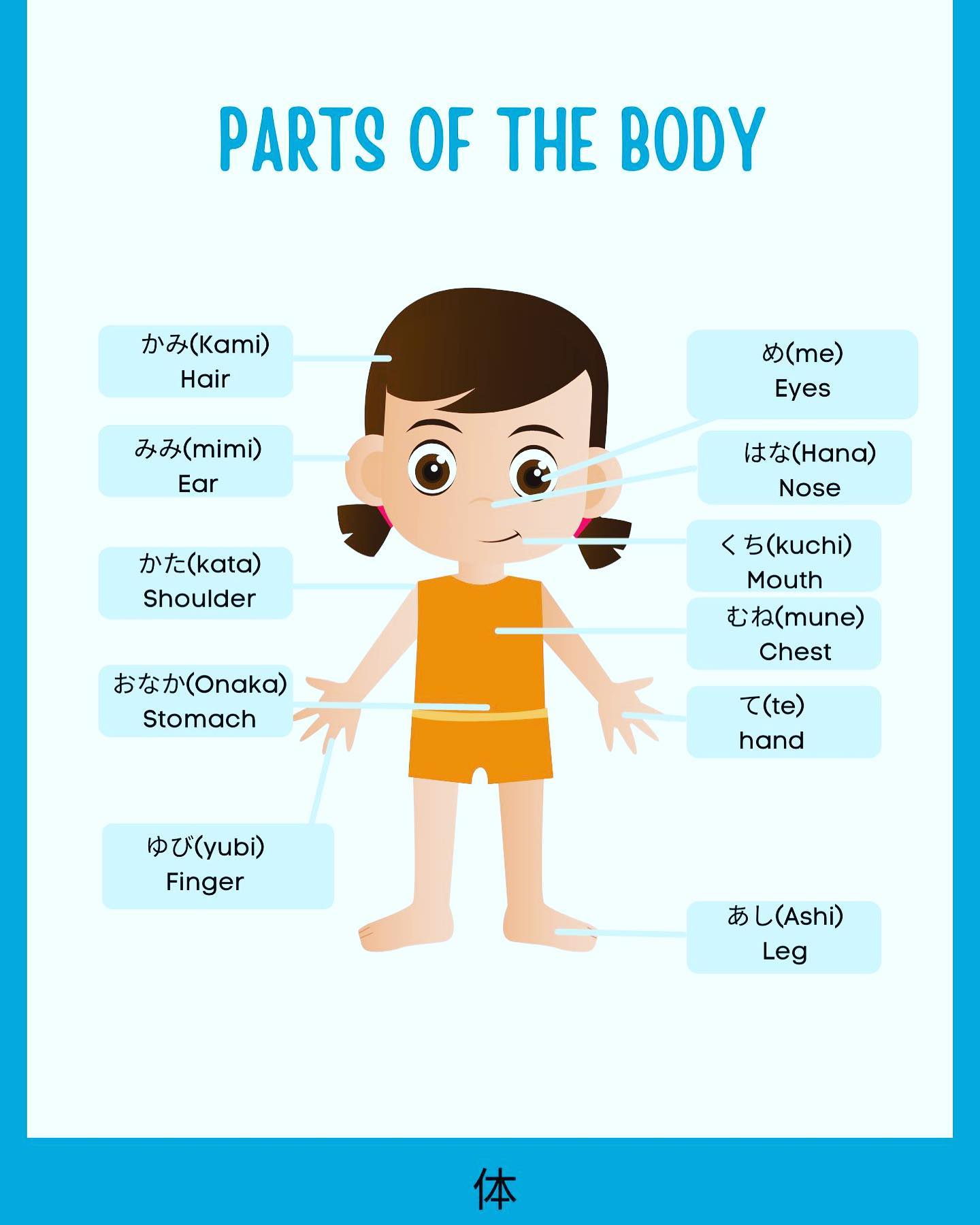 Body parts in Japanese... - Learn the Japanese Language | Facebook
