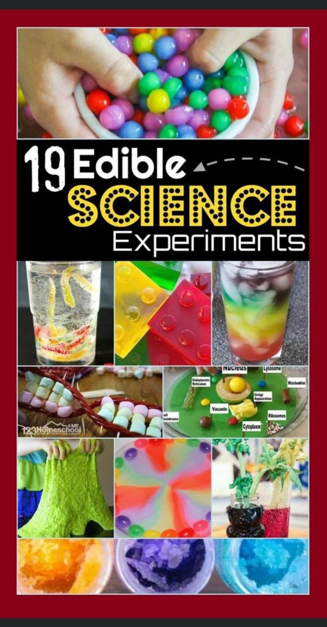 Teachers Sharing Ideas And Resources | 𝟭𝟵 𝗘𝗱𝗶𝗯𝗹𝗲 𝗦𝗰𝗶𝗲𝗻𝗰𝗲 𝗘𝘅𝗽𝗲𝗿𝗶𝗺𝗲𝗻𝘁𝘀 ...