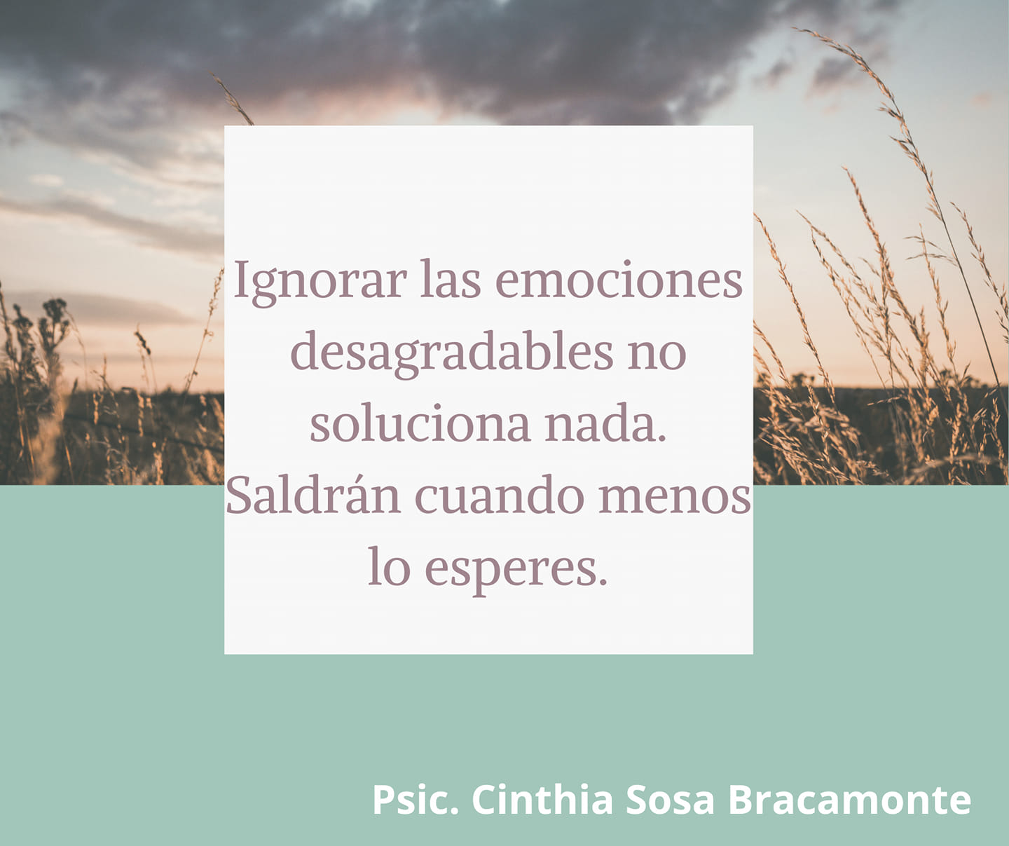 Psic.Cinthia Sosa Bracamonte - No hay emociones malas ni buenas. Todas ...