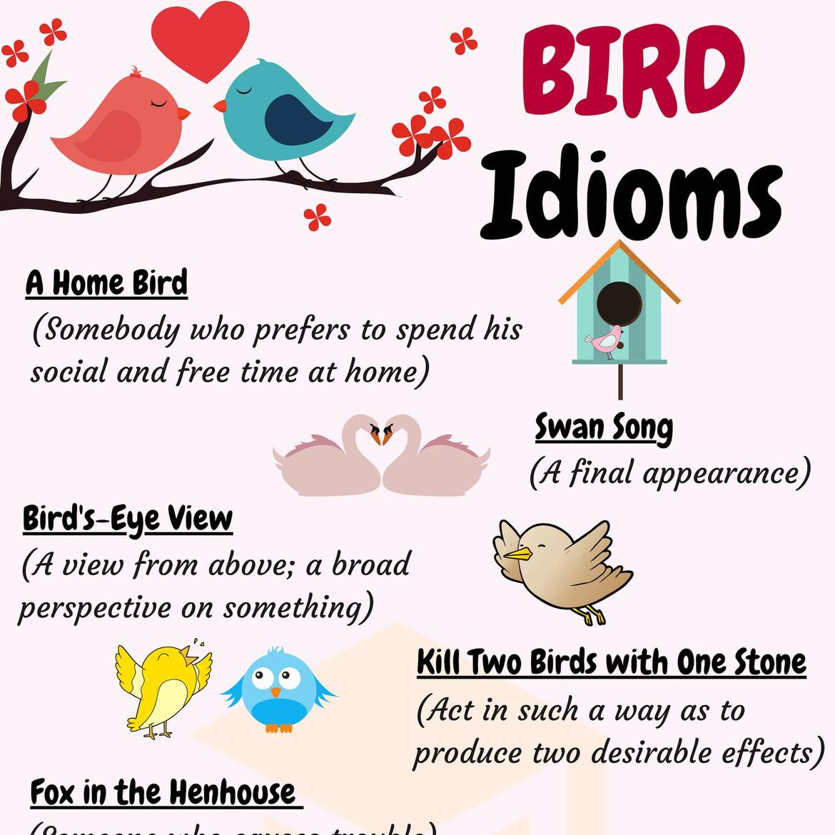 Look at these idioms with birds - English with Sofia