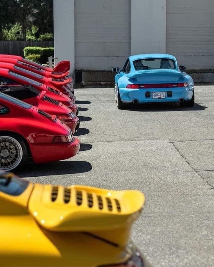Flat 6 Club 😍 Sexy Lineup Flat6club