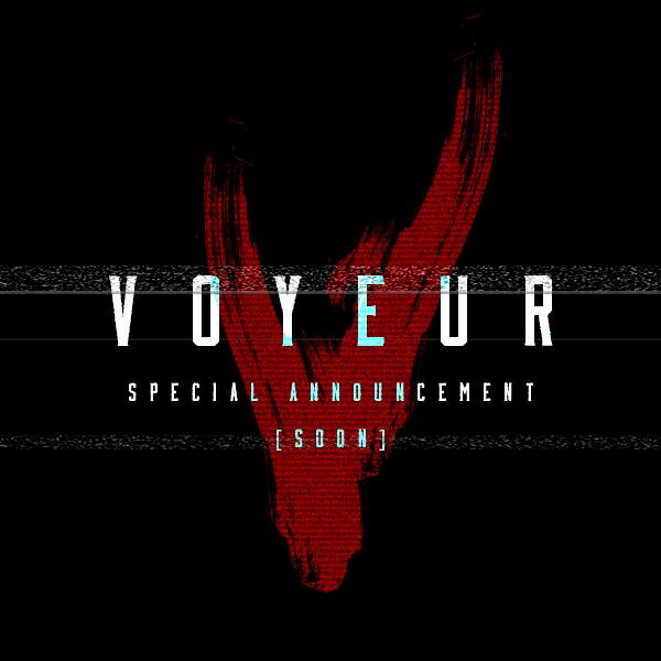 Voyeur 7764
