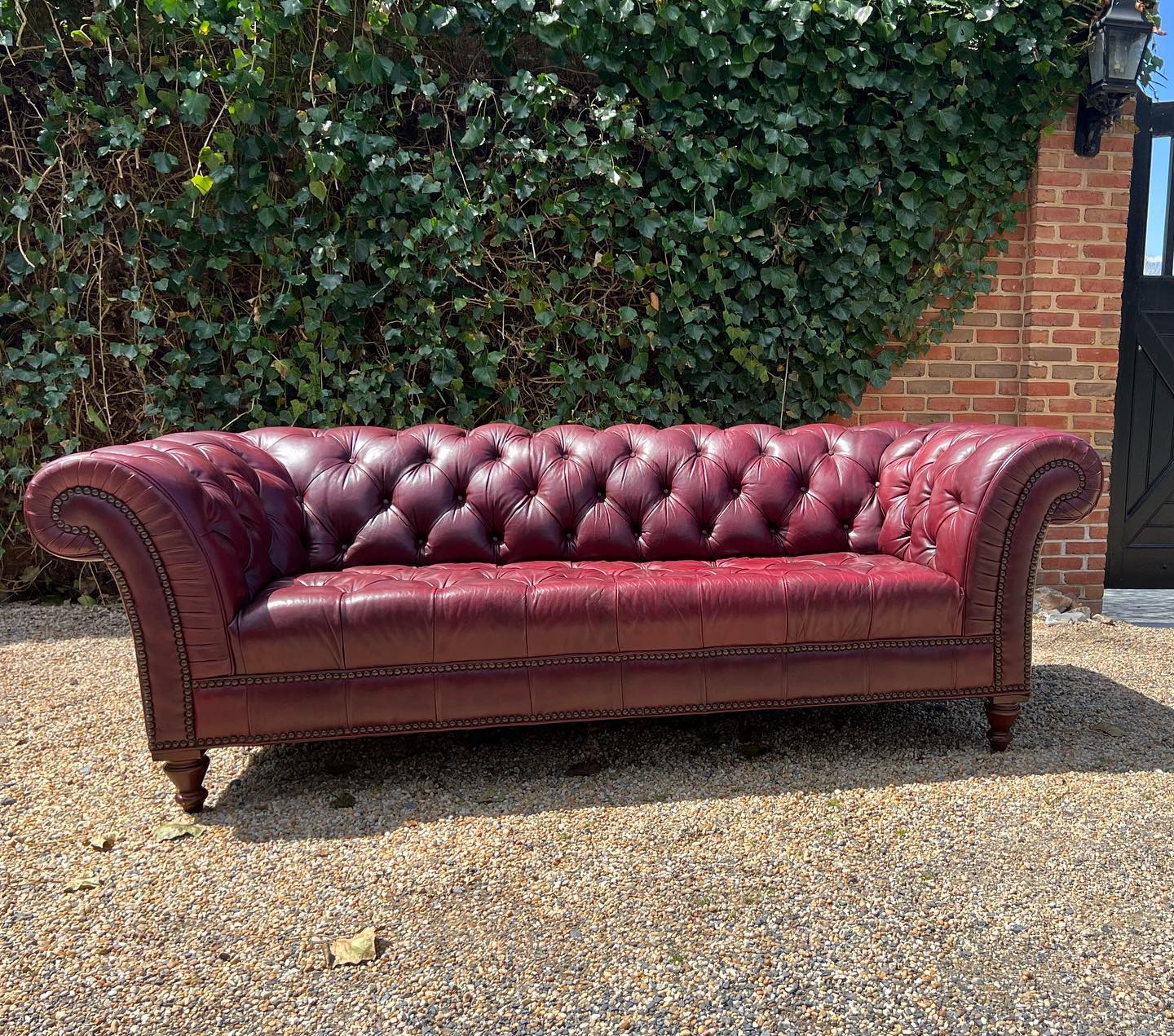 Foundry Meet Amelia The Most Beautiful Extra Long