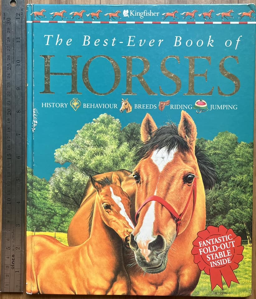 📚 ปกแข็ง เล่มขนาดใหญ่พิเศษ สภาพดี The Best - Ever Book of.. Horses ปกมี ...