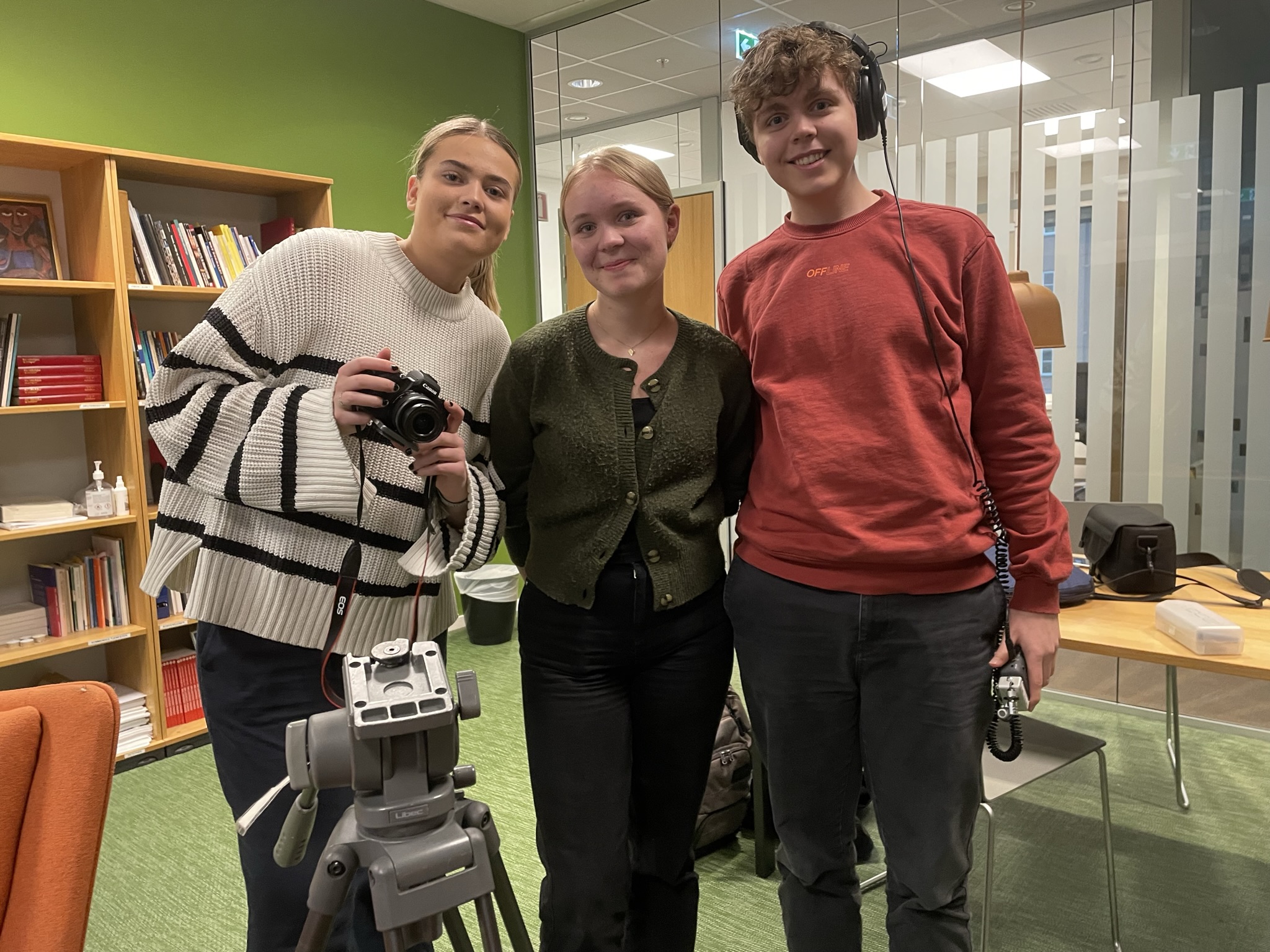 Hvordan Fremstilles Norges Handikapforbund