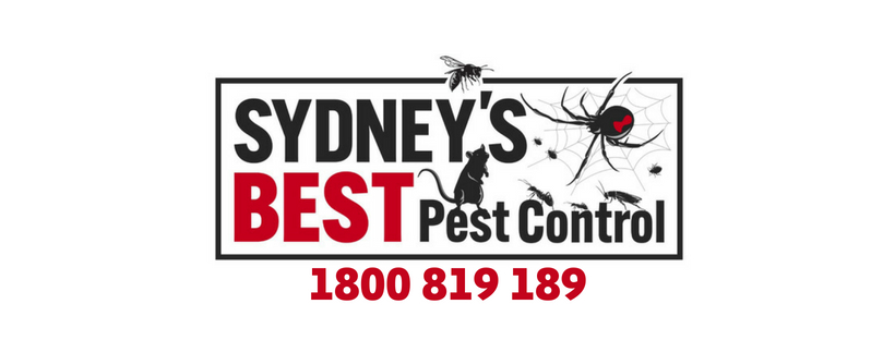 Sydneys Best Pest Control Sydney Nsw 6723
