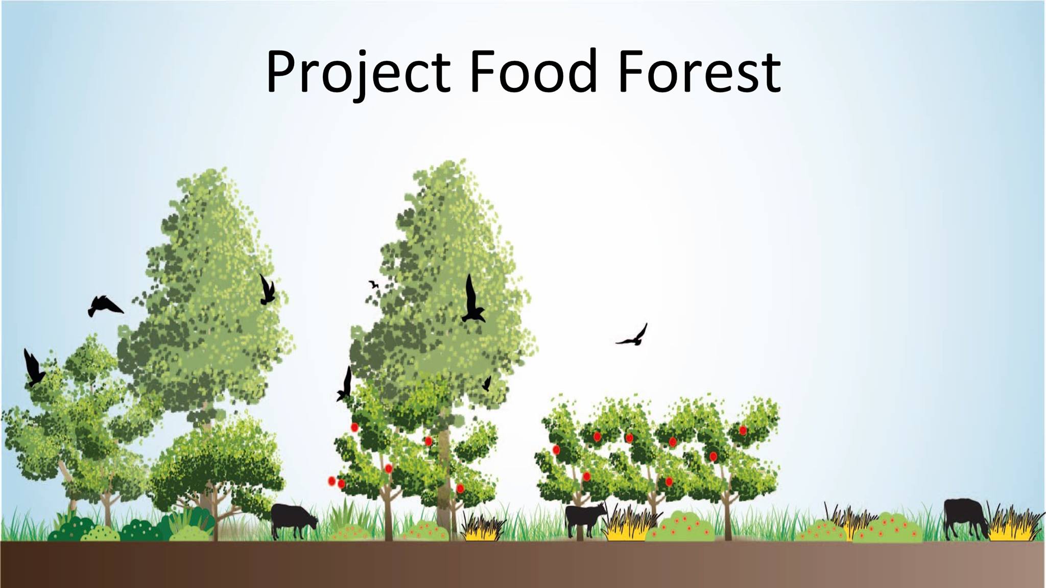 Project Food Forest | Wageningen