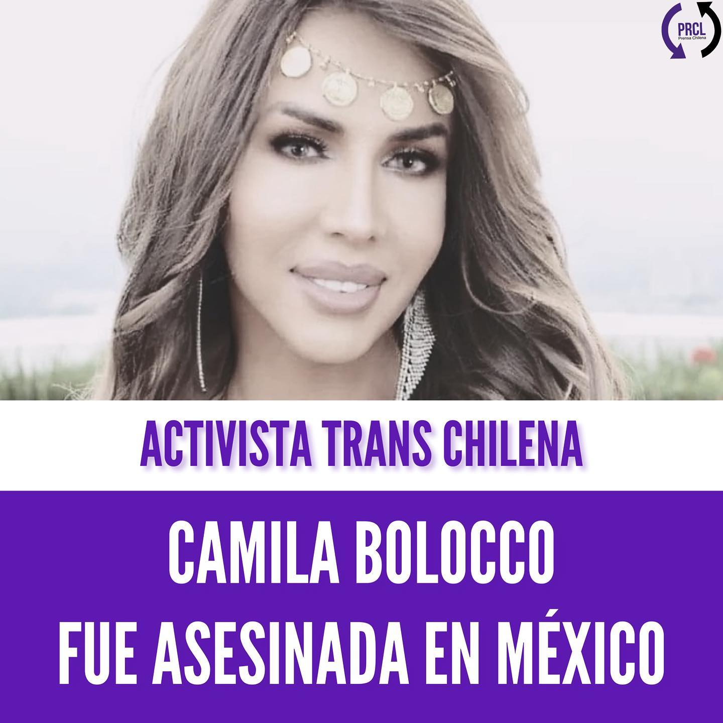 Prensa Chilena La Activista Trans Chilena Camila Bolocco