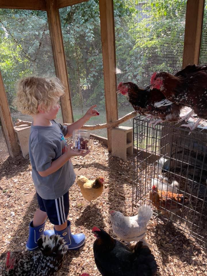 Our chickens are spoiled by... - MPE Outdoor Learning Center