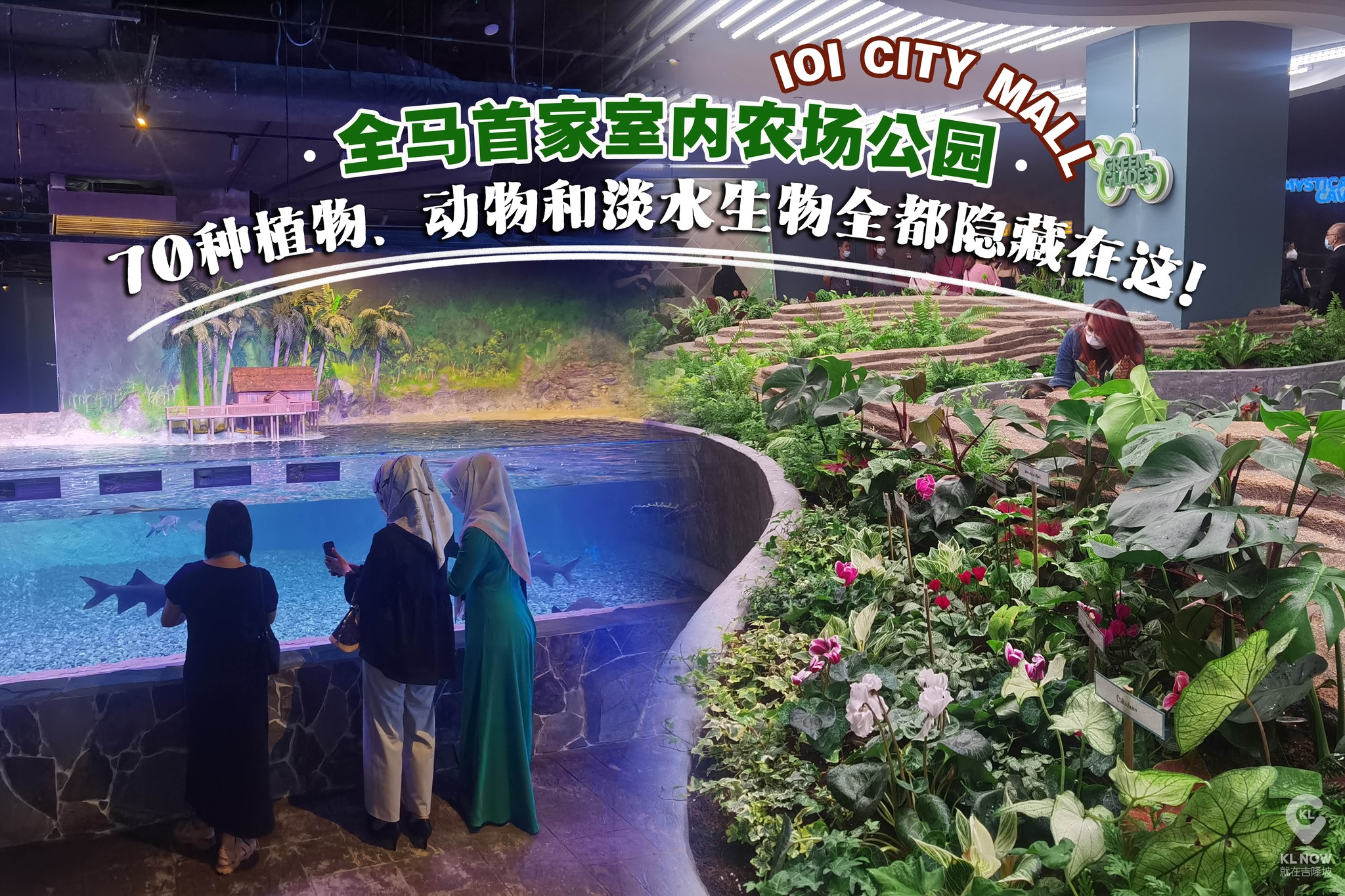 Kl Now 就在吉隆坡 【 🐟🐇🦚 全马首家室内农场公园就在「ioi City