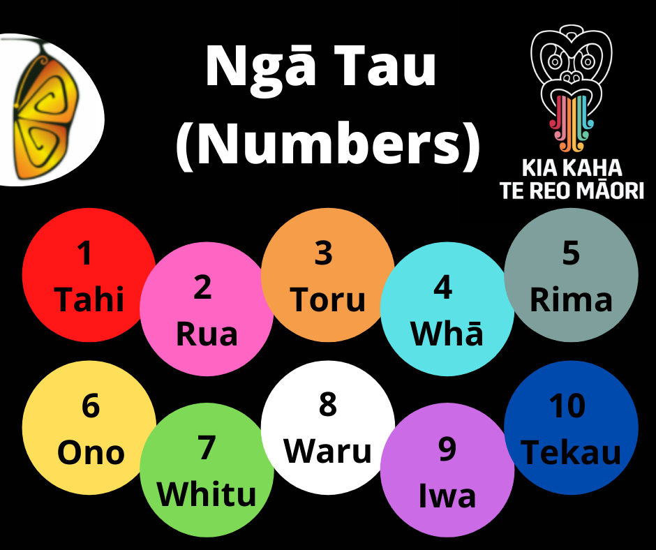 Let's practise our Maori... - Chrysalis Early Learning Centre