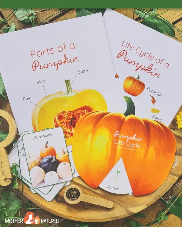 Mother - Your kids will love these gorgeous pumpkin printables, perfect ...