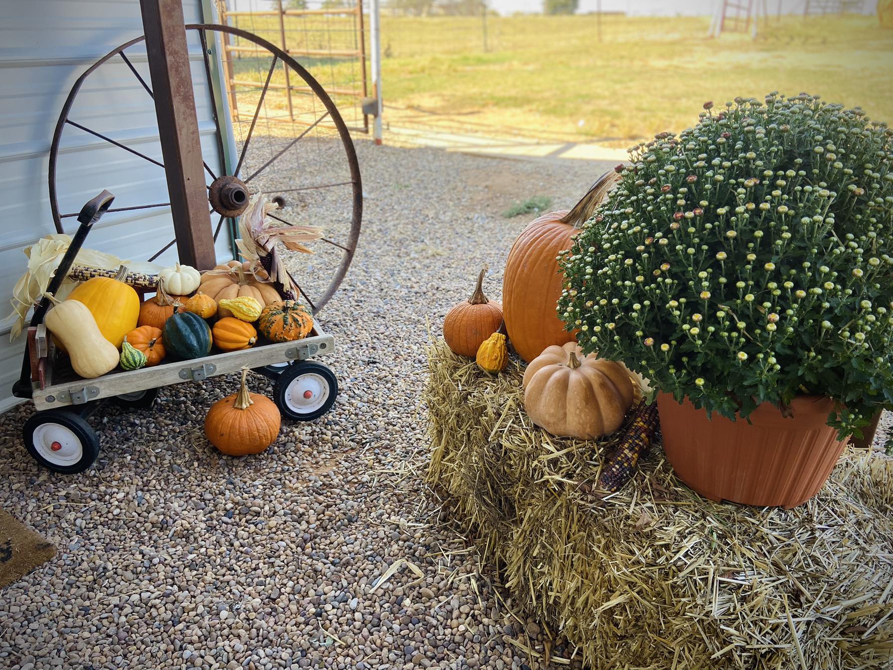 4 Sparrow Farm Waurika Ok